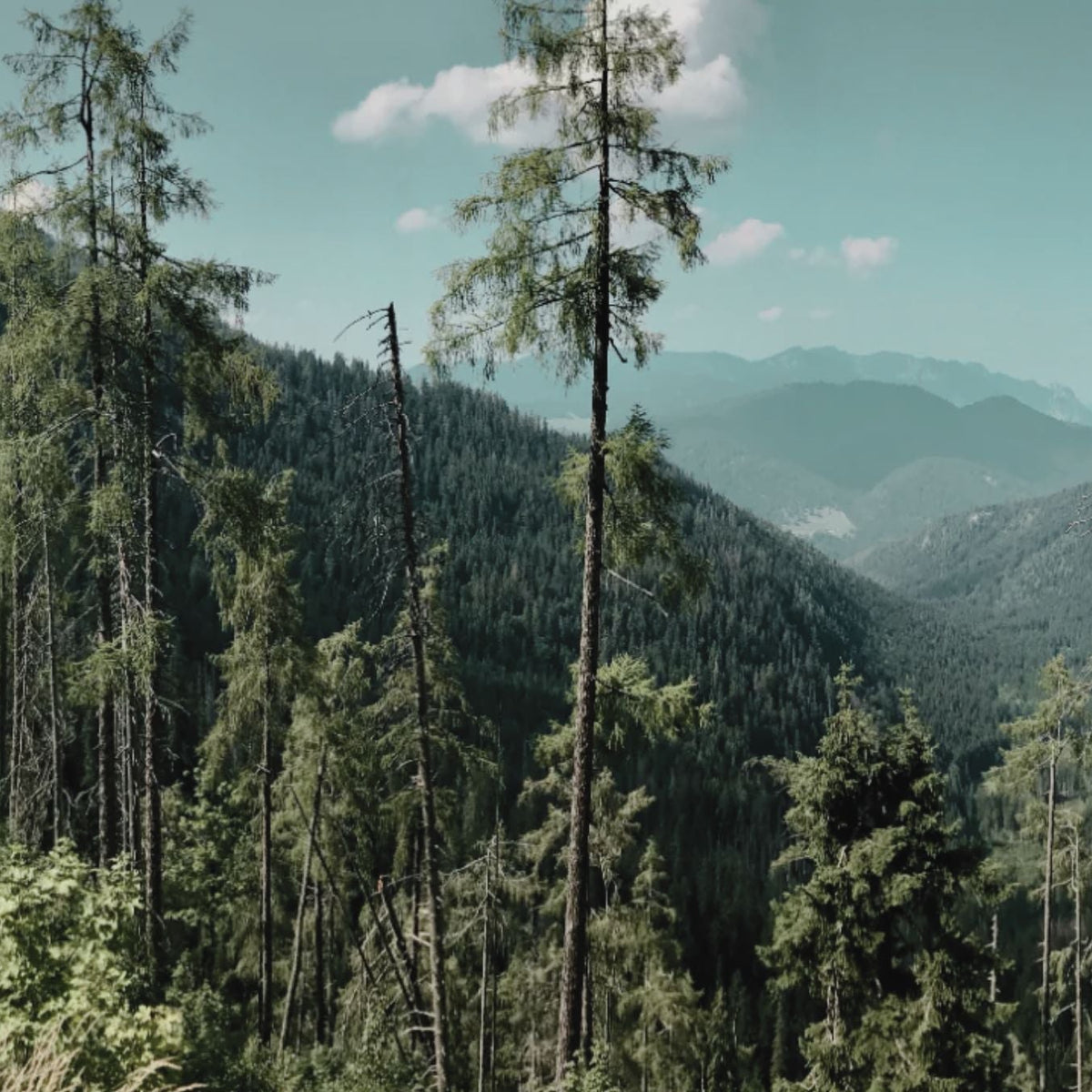Dachzelt-Camping in Deutschland – Die schönsten Reiseziele – Punii ...