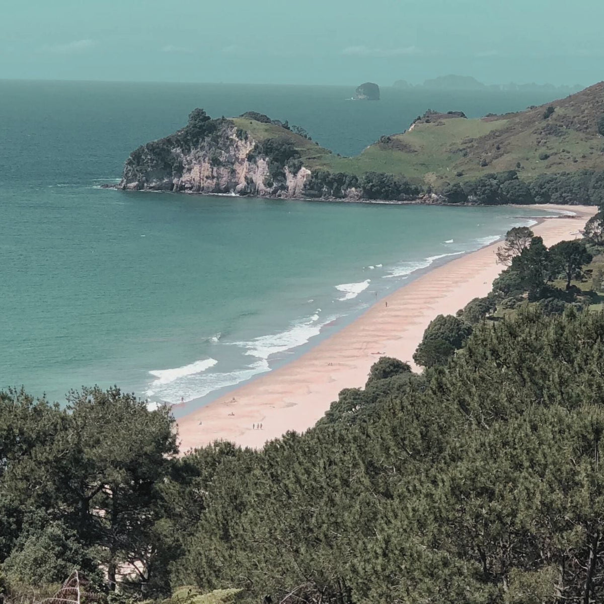 Mit dem Dachzelt über Neuseelands Nordinsel: Natur & Kultur erleben ...